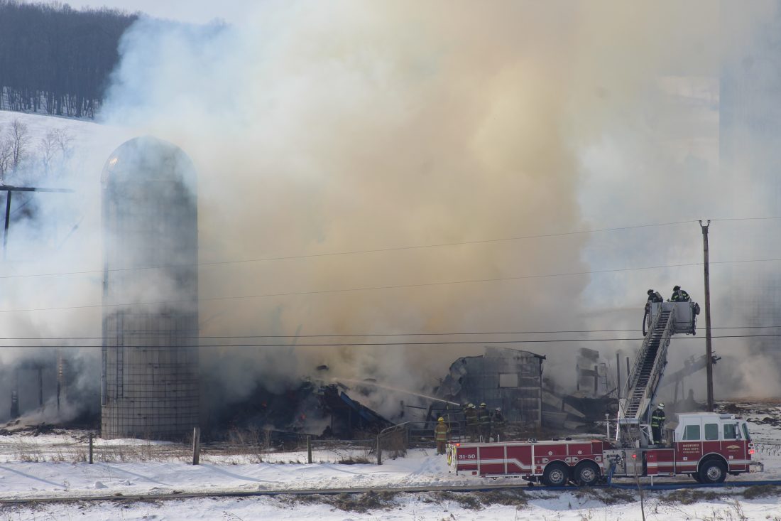 Fire destroys barns, kills 90 cattle | News, Sports, Jobs - Altoona Mirror